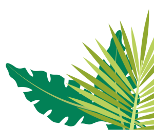 Sheffield – Monkey Bizness